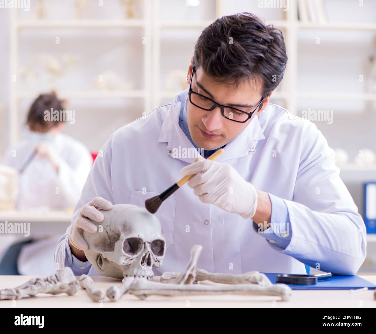 The professor studying human skeleton in lab Stock Photo - Alamy