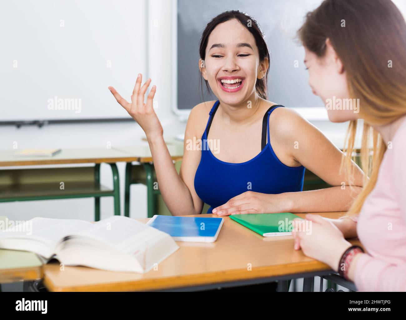 Smiling schoolgirls are talking about homework at the desk in the class ...