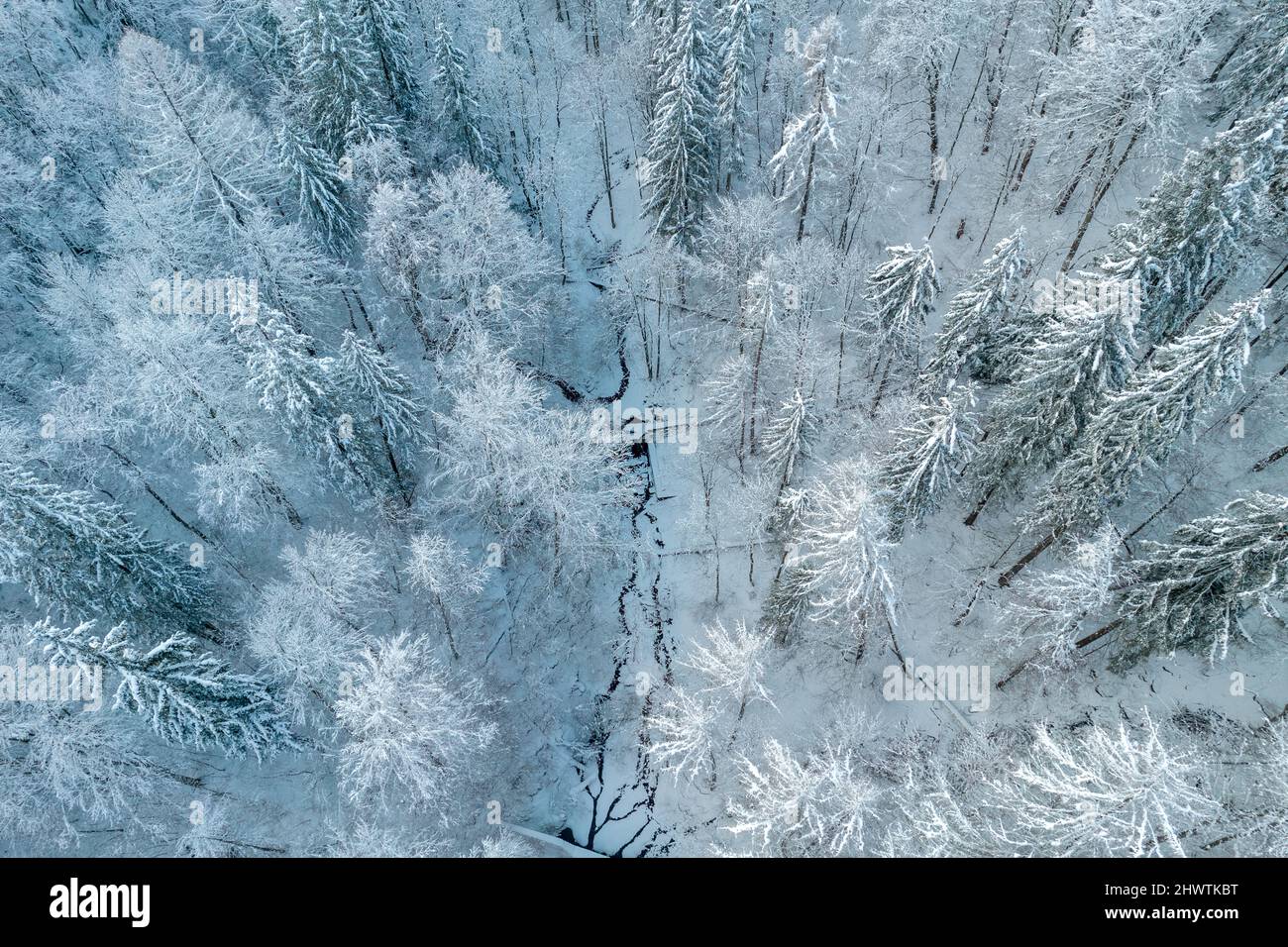 Aerial view of a frozen forest and stream of wateraerial hi-res stock photography and images - Alamy