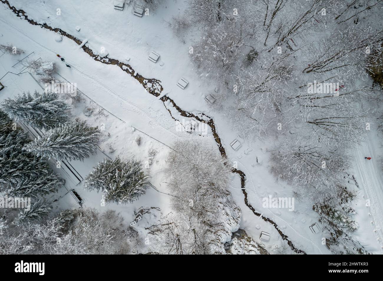 Aerial view of a frozen forest and stream of water Stock Photo - Alamy