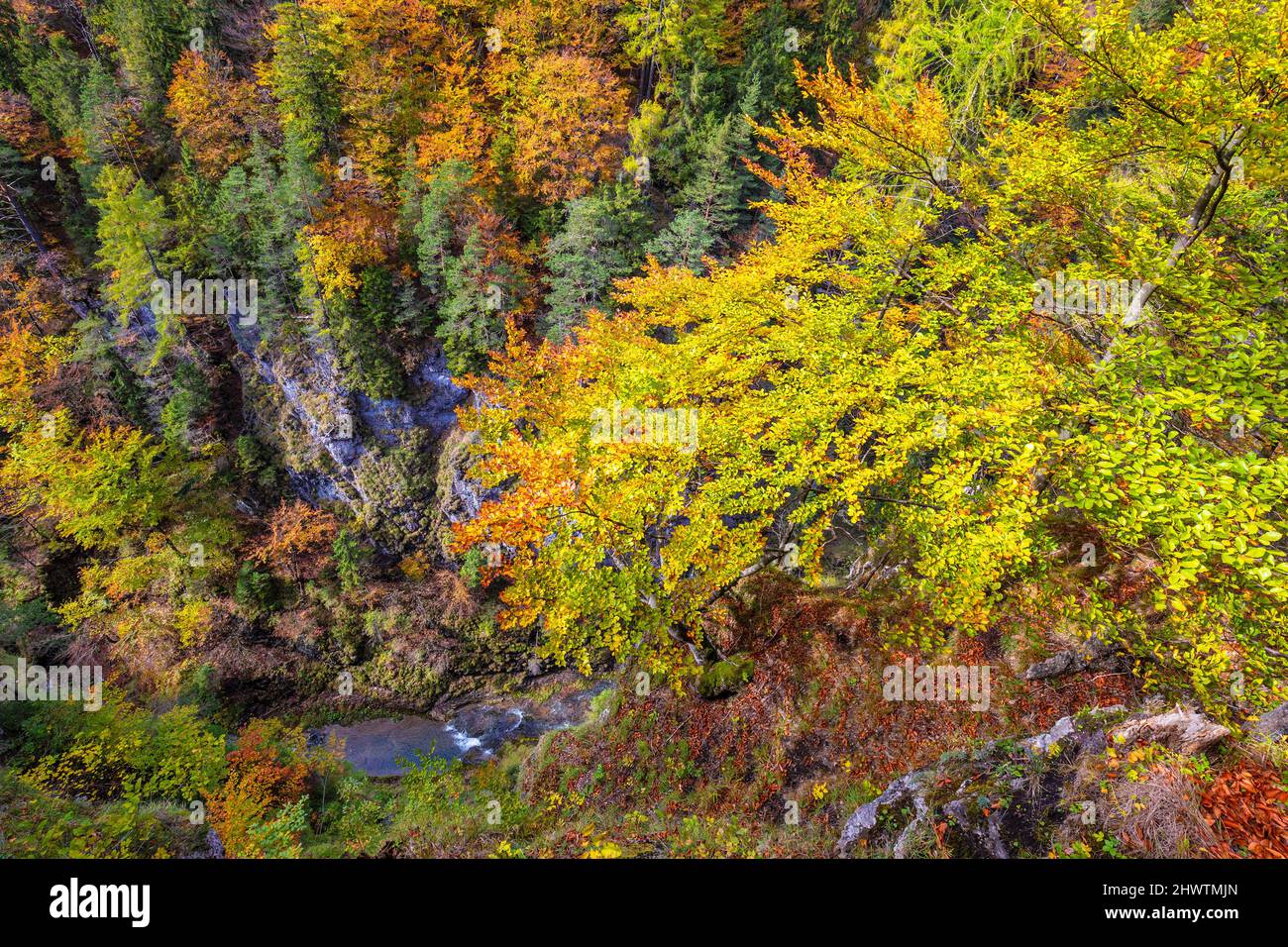 Mountain landscape in autumn day. View into the gorge on hiking trail ...