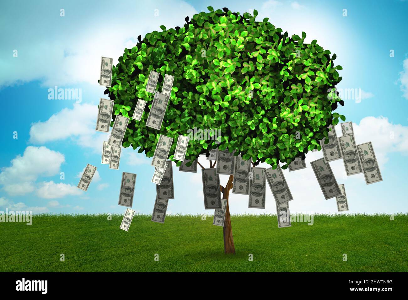 Money tree in the business concept - 3d rendering Stock Photo - Alamy