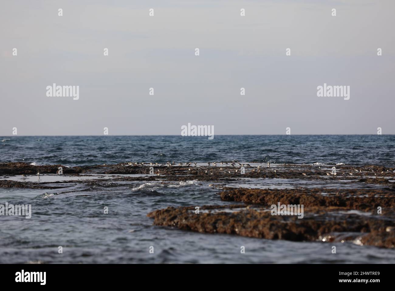 Landscape of rock and sea High quality Stock Photo - Alamy