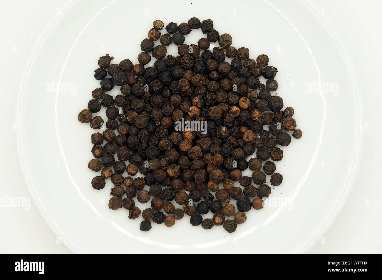 Pfefferstrauch piper nigrum schwarzer pfeffer hi-res stock photography ...