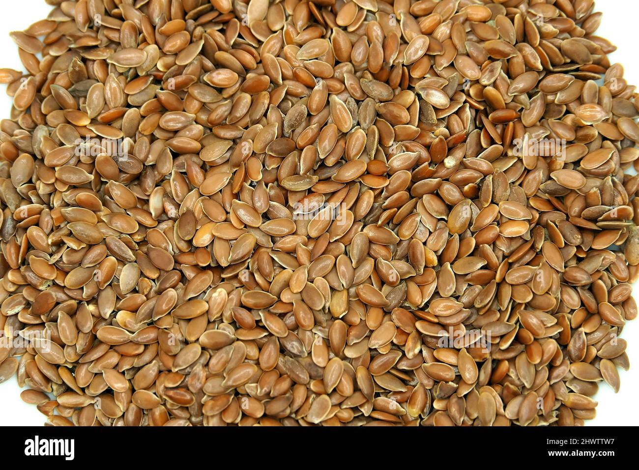 Brown flax seeds, Leinsamen, Flax, linseed, Gemeiner Lein, Linum ...