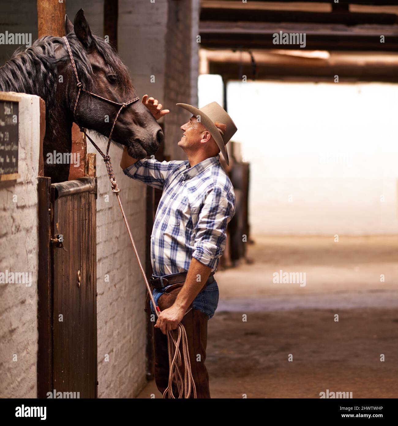 Life of a cowboy hi-res stock photography and images - Alamy