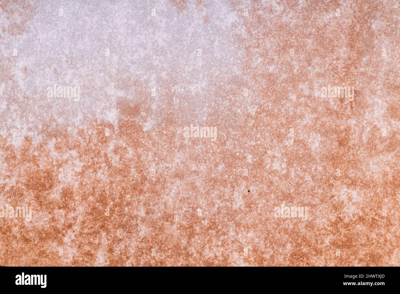 old brown paper sheet. papyrus vintage texture. High quality photo ...