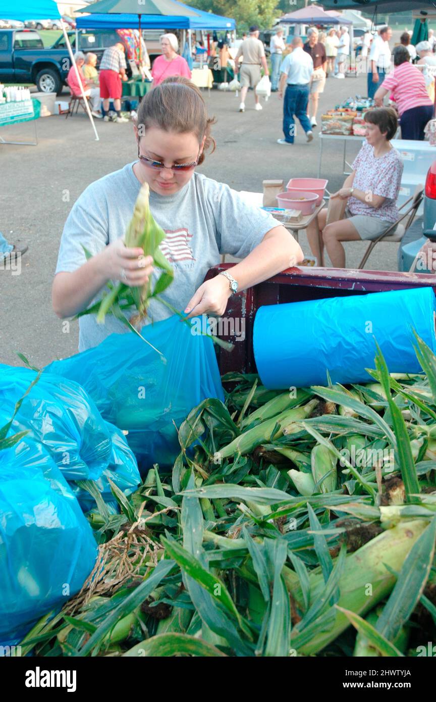 Corn being sold at farmers market in small town to public from the ...