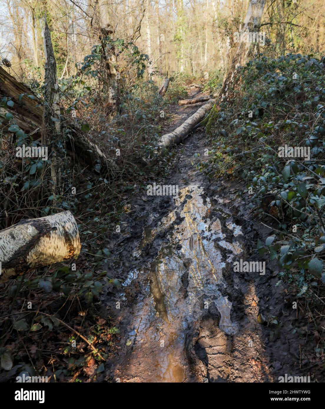 Beddington park wallington london hi-res stock photography and images ...