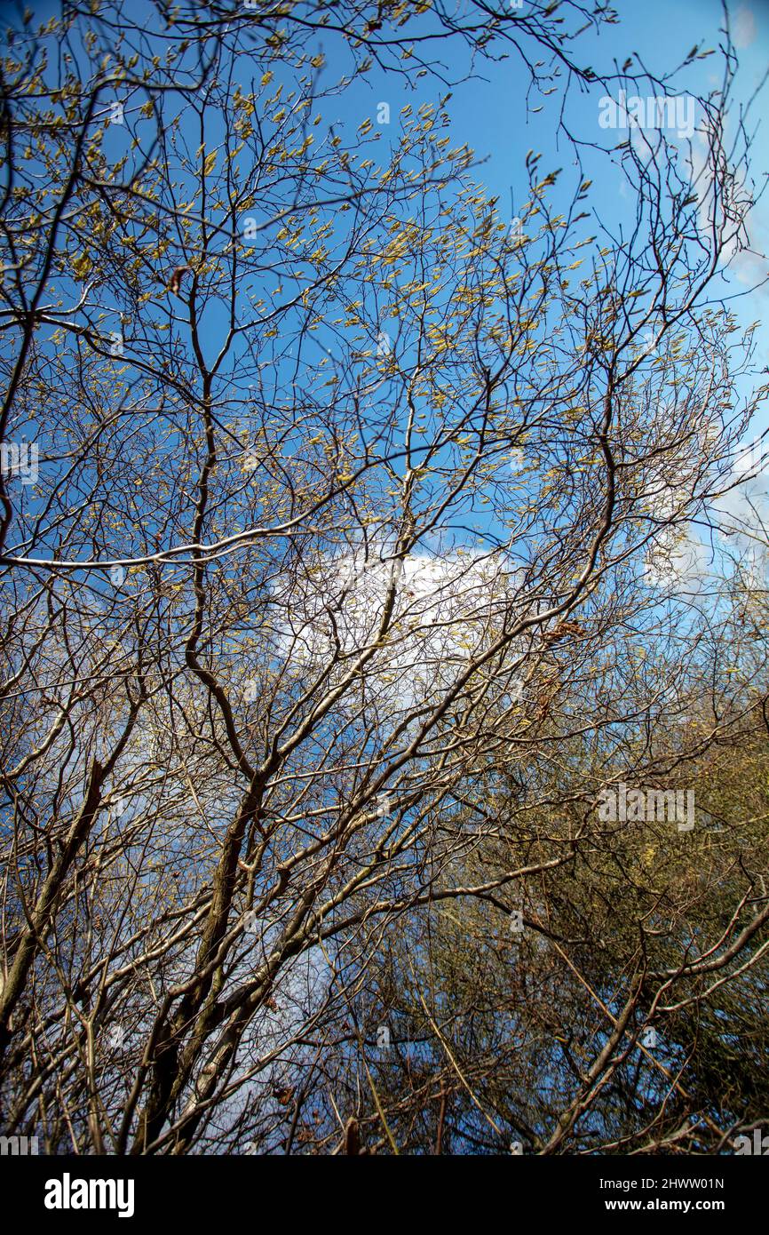 Natural patterns and textures in the environment, intimate landscape ...