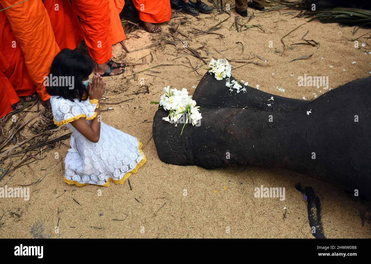 (220307) -- GAMPAHA (SRI LANKA), March 7, 2022 (Xinhua) -- A girl ...