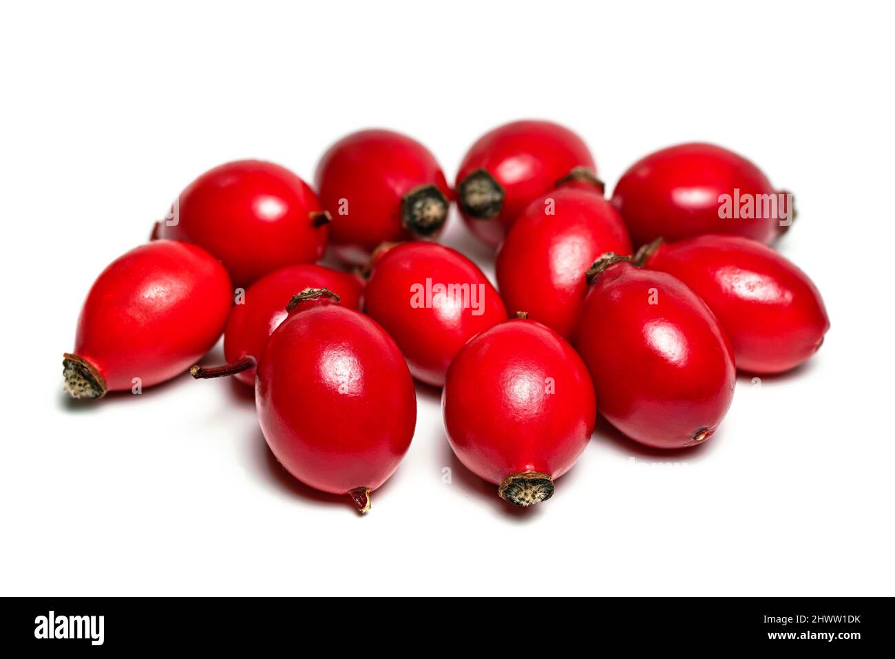 Rosehips (Rosa canina - dog rose fruits) isolated on white background ...