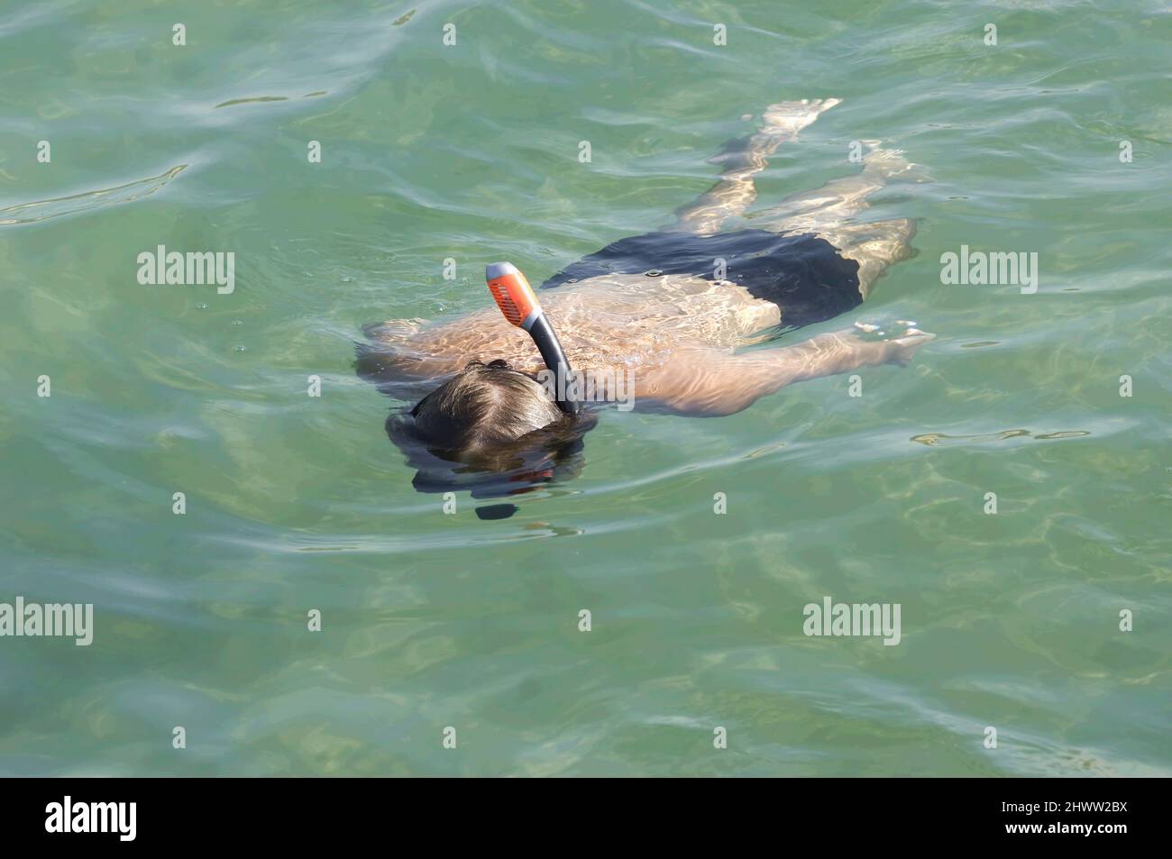Man floats in the sea with tube and look under water Stock Photo - Alamy