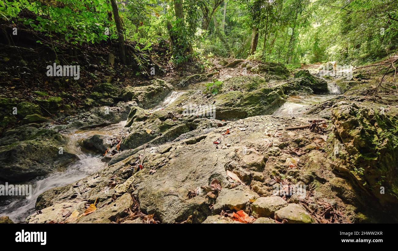 Mountain runnel between huge rocks in weald. Mountain rill in morass ...