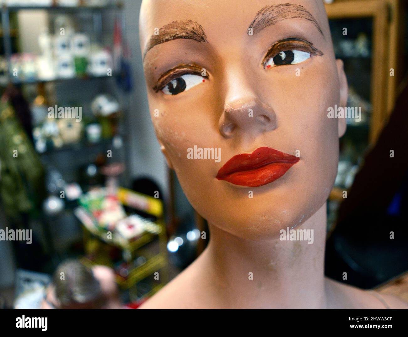 Cathy Sheriff's Instagram, Twitter & Facebook on IDCrawl