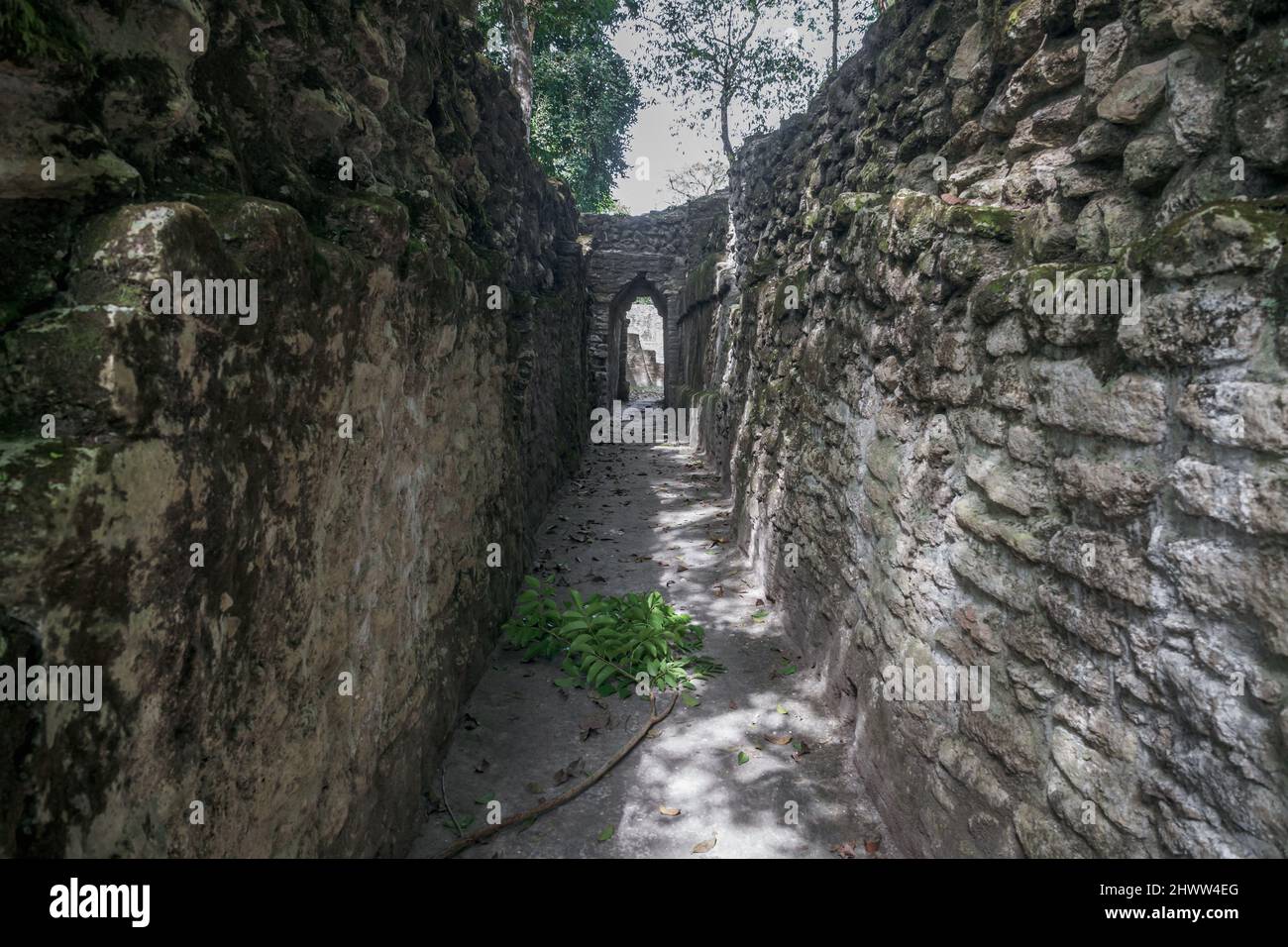 Narrow path leading to arch at Maya ruins 'Cahal Pech' in San Ignacio ...
