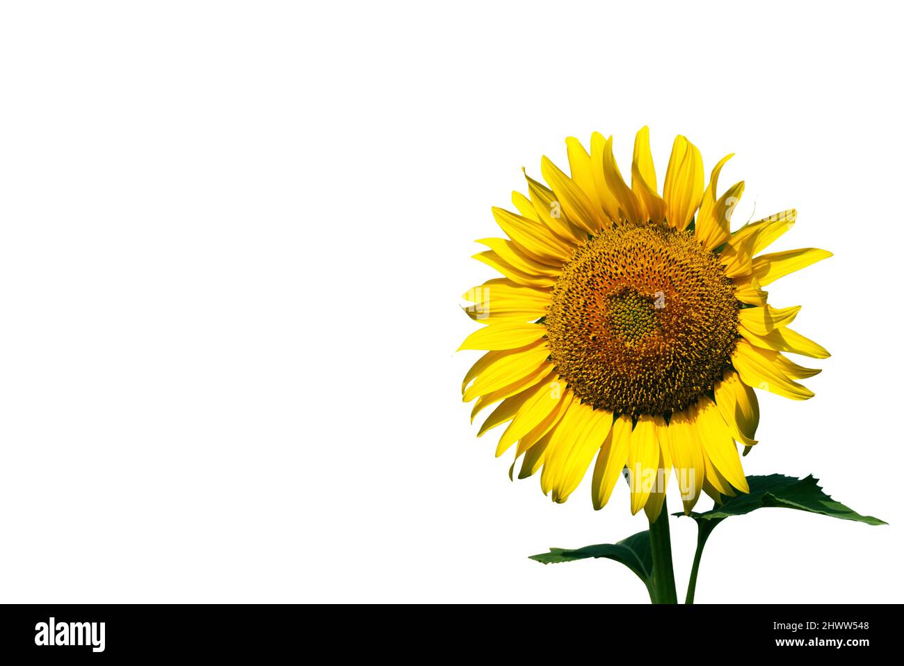 Sunlight farm Cut Out Stock Images & Pictures - Alamy