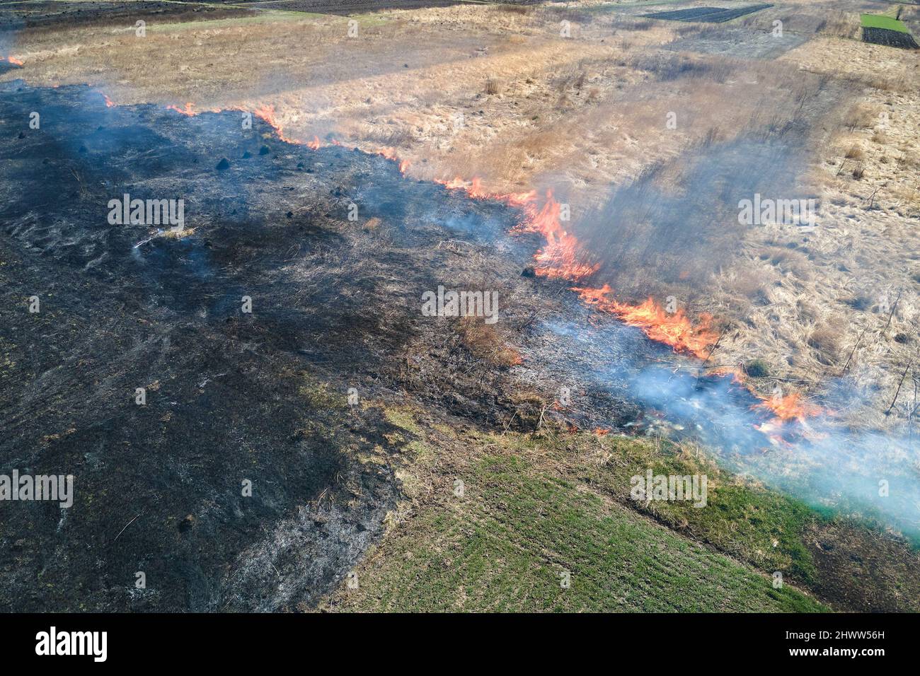 Aerial view of grassland field burning with red fire during dry season ...