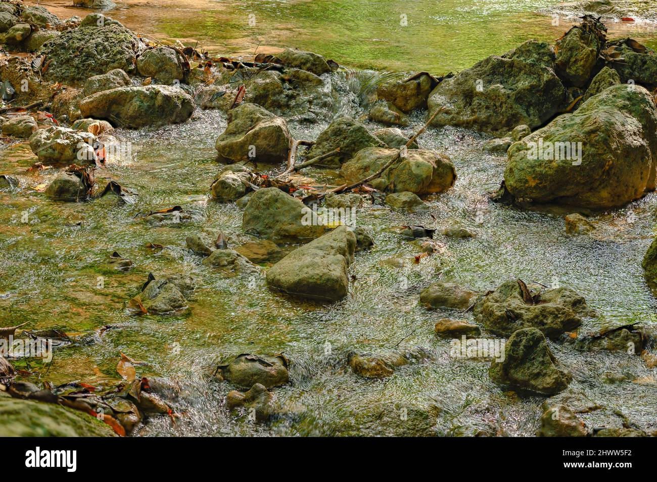 Mountain runnel between huge rocks in weald. Mountain rill in morass ...