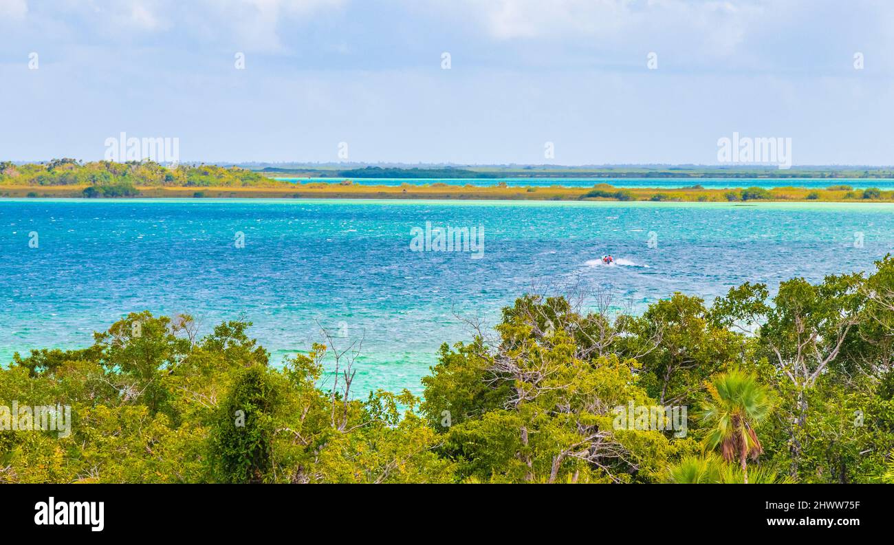 Panorama view to the Muyil Lagoon from the wooden viewpoint tower in ...