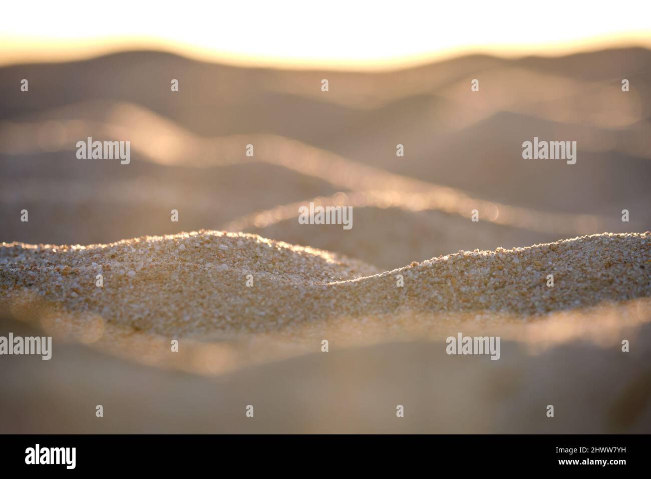 Close up of clean yellow sand surface covering seaside beach ...