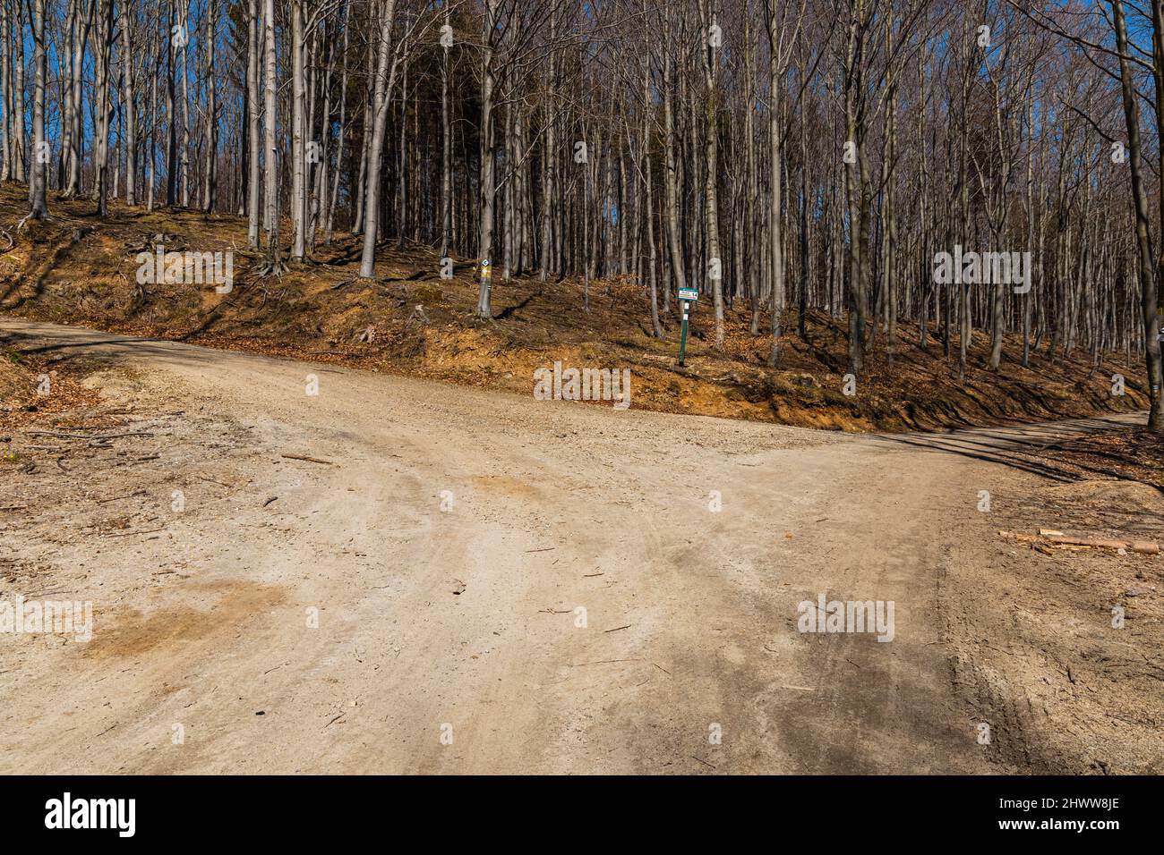 Owl Mountains, Poland - April 2021: Crossroads of mountain trails at ...