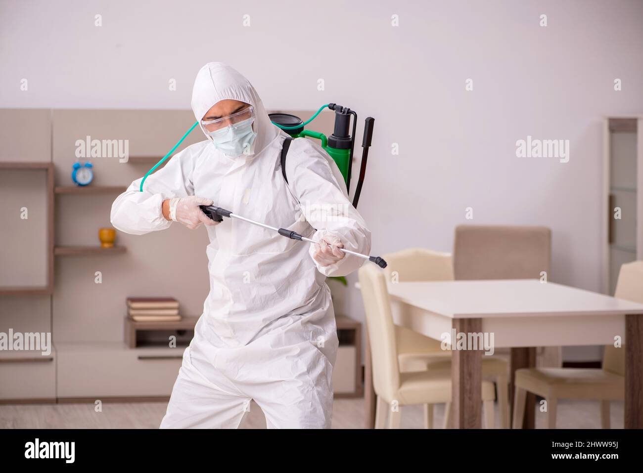 Young contractor doing pest control at home Stock Photo - Alamy