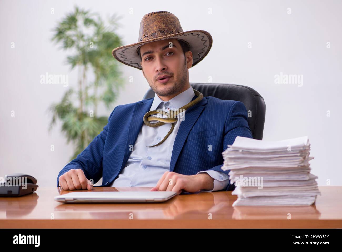 Young cowboy employee working at workplace Stock Photo - Alamy