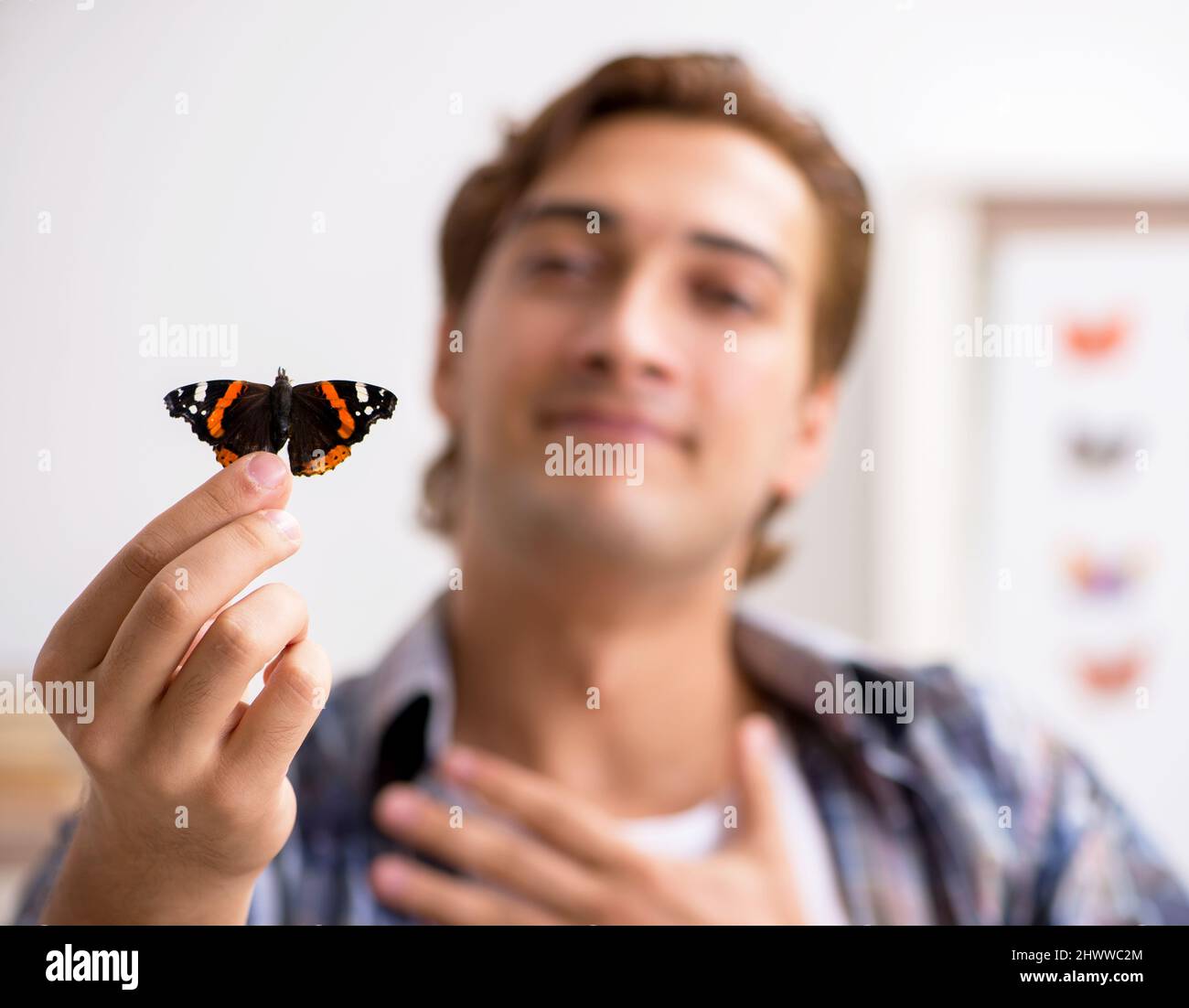 Student entomologist studying new species of butterflies Stock Photo ...