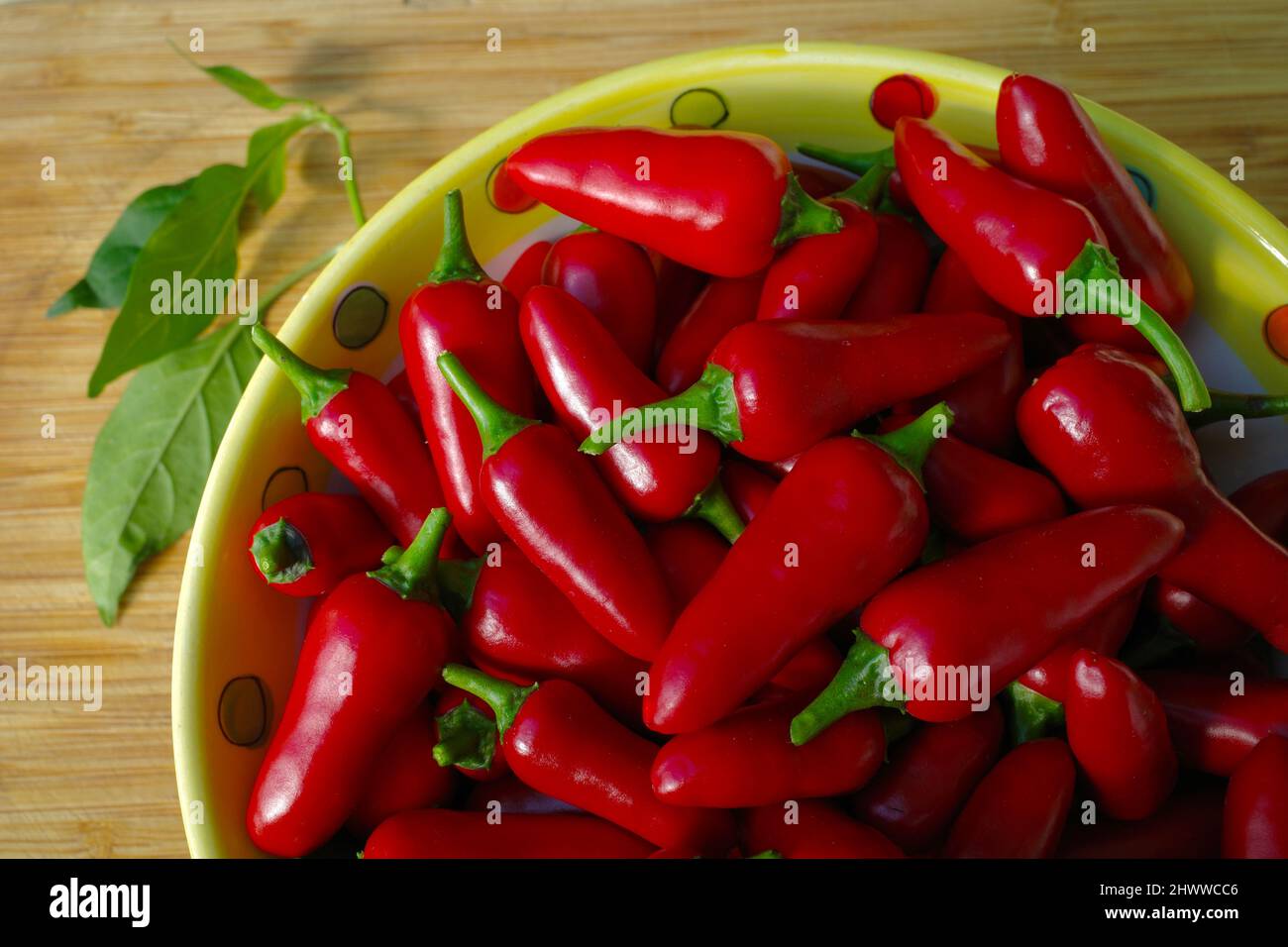 Red hot sauce preserving hi-res stock photography and images - Alamy