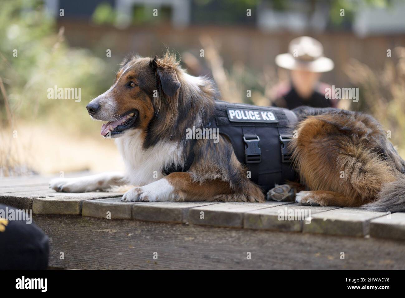 RESCUED BY RUBY, Ruby, 2022. ph: Ricardo Hubbs /© Netflix / Courtesy ...