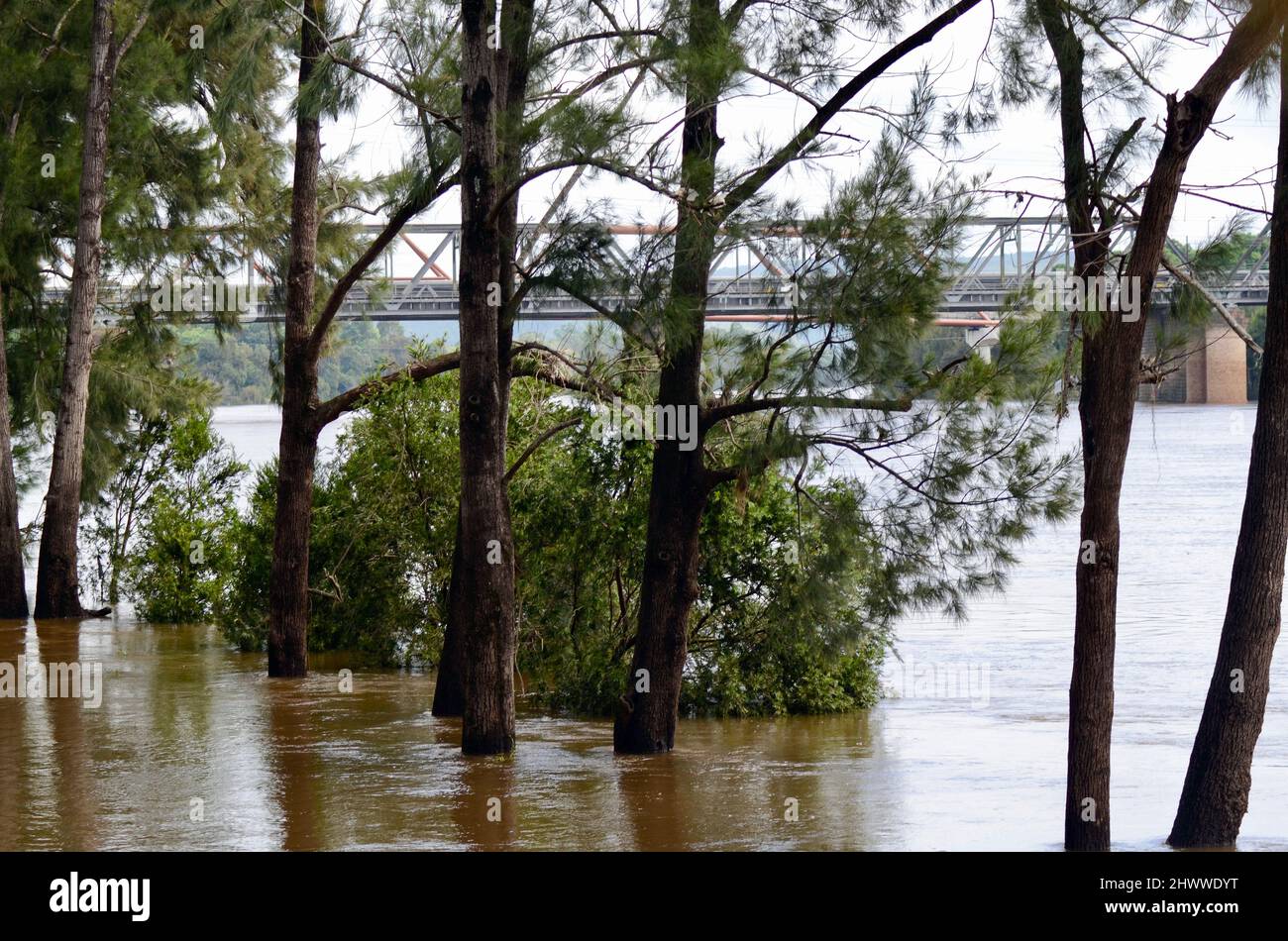 The Nepean River in flood at Penrith in Sydney's western suburbs Stock ...