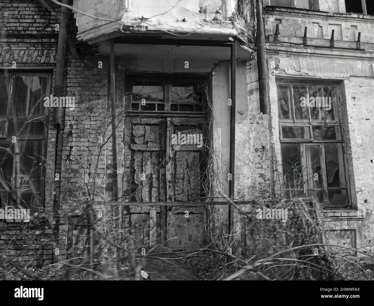 A disturbing look in BW of some structures of the ghost and ...