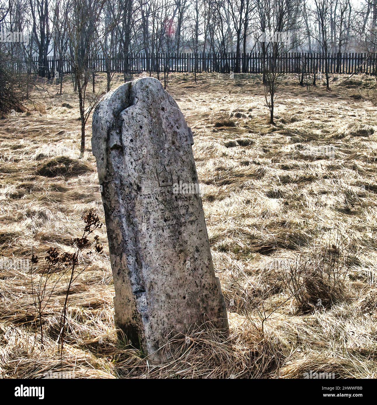 A disturbing look at what remains of the "radioactive" structures of ...
