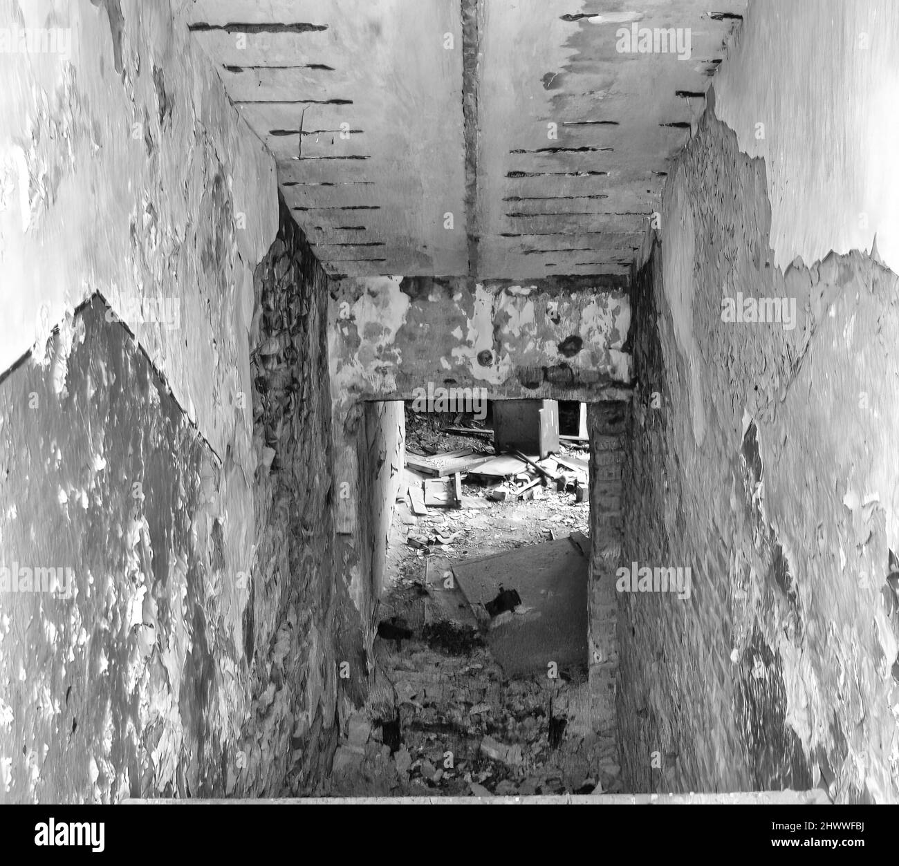 A disturbing look in BW of some structures of the ghost and ...