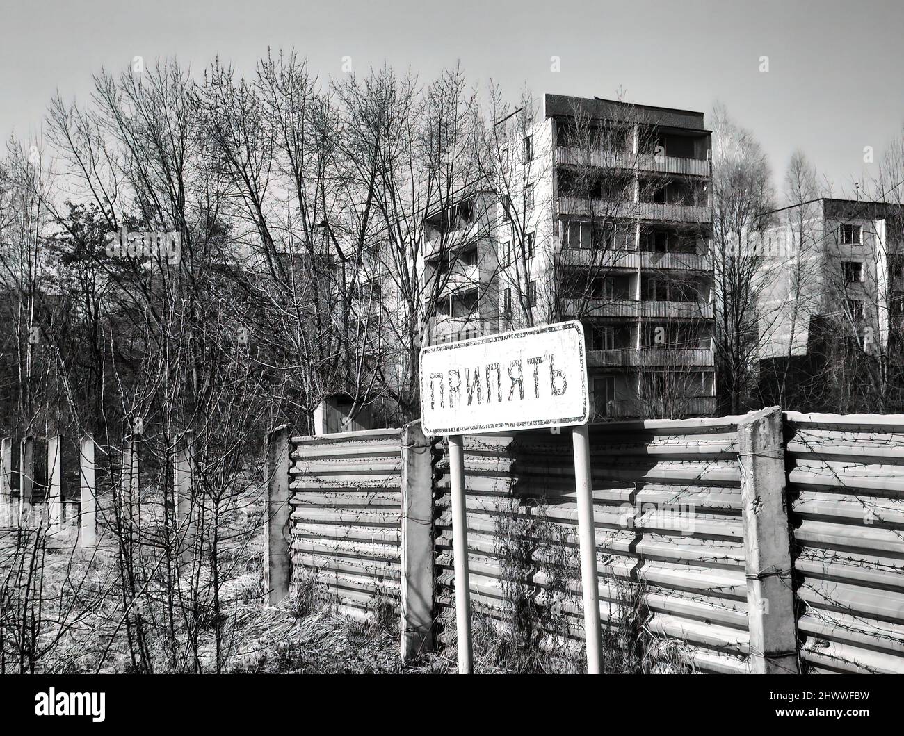 A disturbing look in BW of some structures of the ghost and ...
