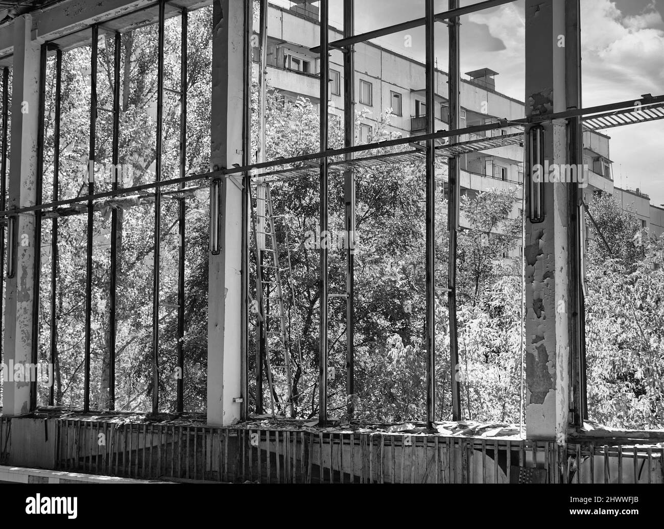 A disturbing look in BW of some structures of the ghost and ...