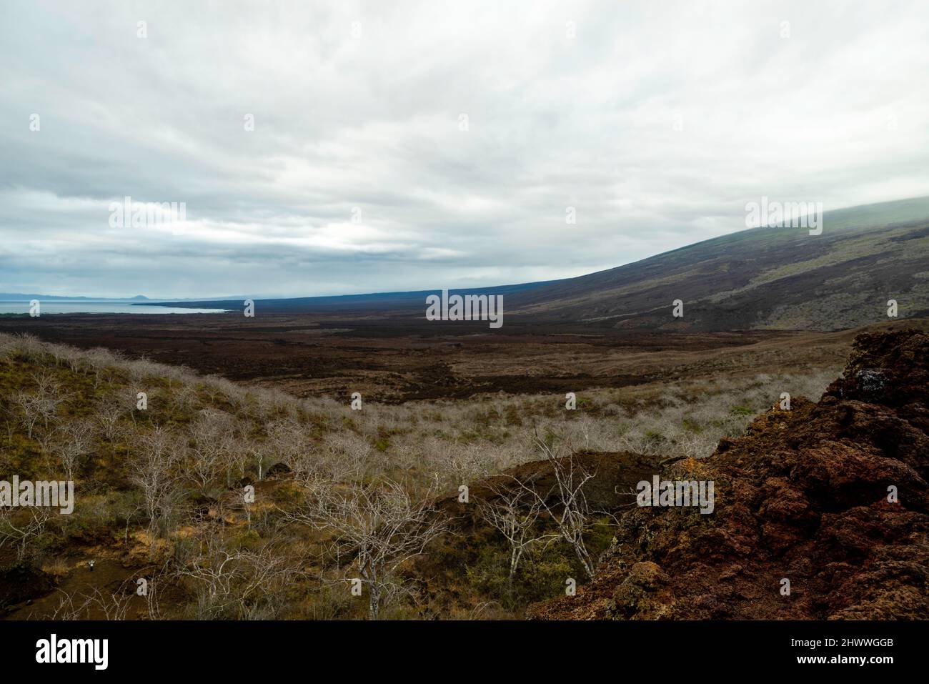 Landscape photograph of Isla Isabella, Islas Gal‡pagos, Ecuador Stock Photo - Alamy