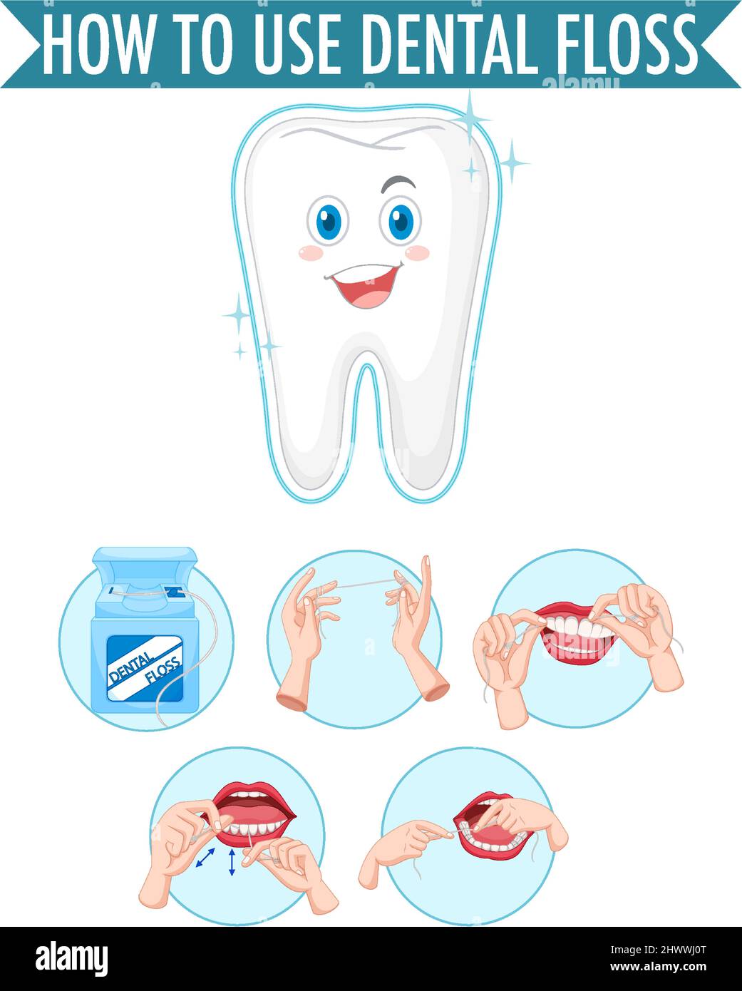 Tooth diagram clipart hi-res stock photography and images - Alamy