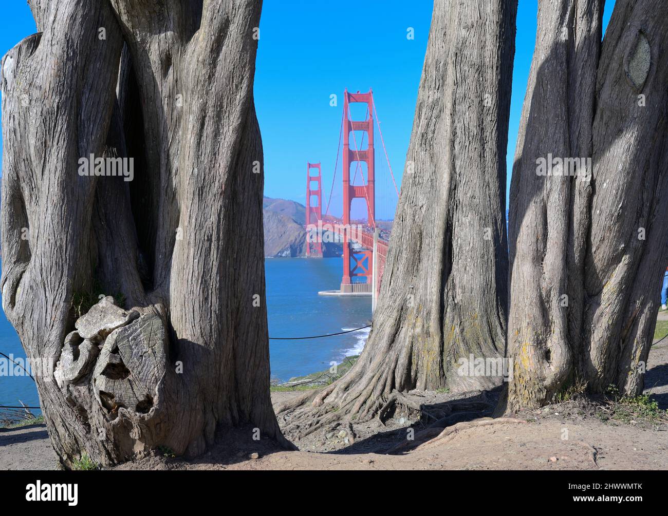 The iconic Golden Gate Bridge seen from the Presidio, San Francisco CA ...