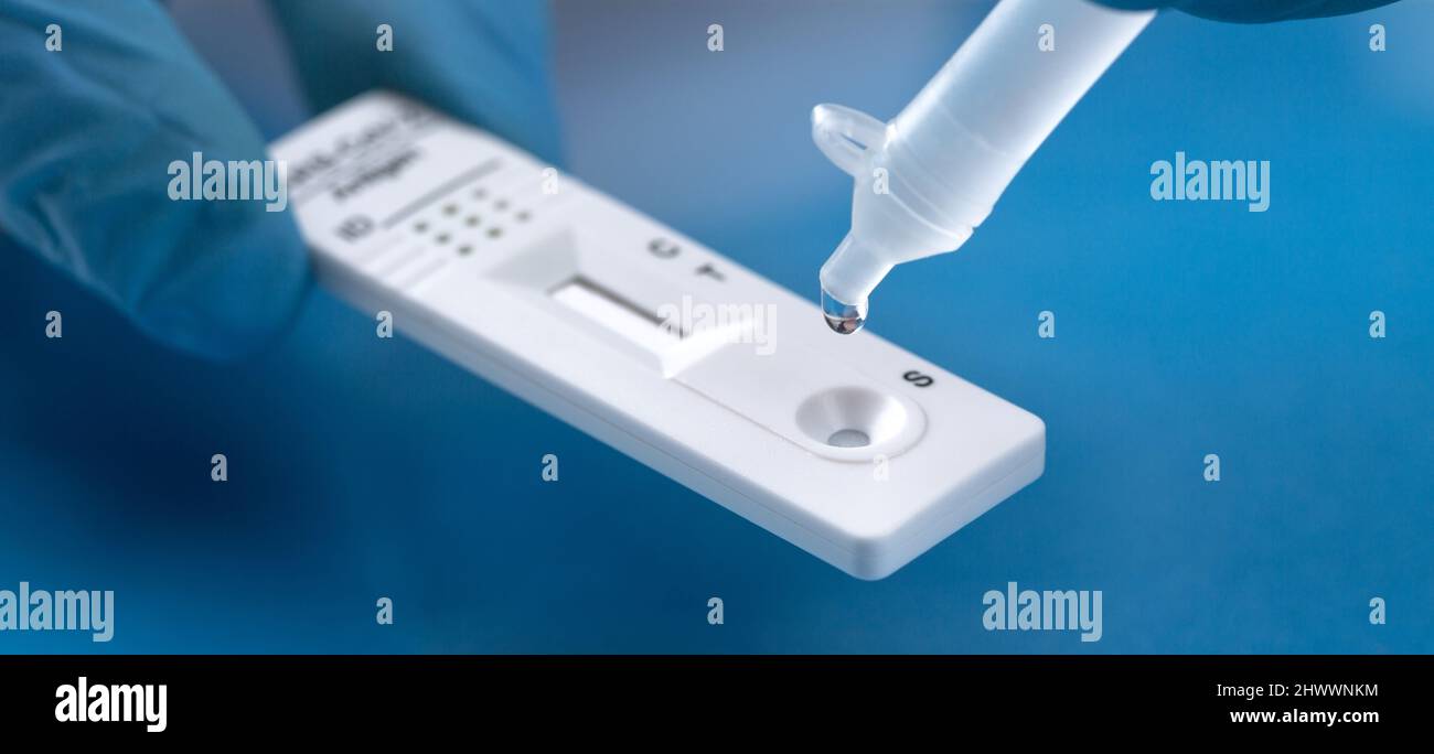 Covid rapid antigen nasal test. Self test at home or at corona test ...