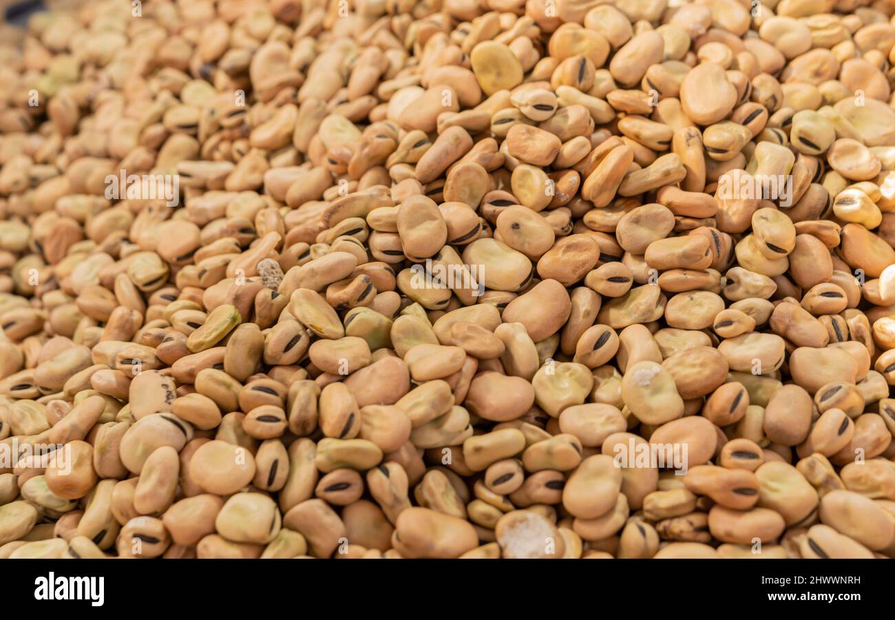 Dried fava beans food background Stock Photo - Alamy