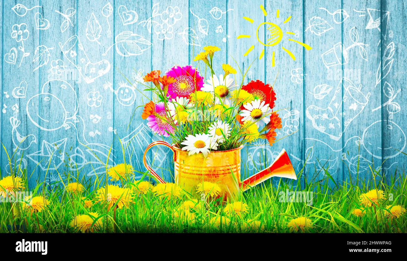 Spring flowers in watering can. Gardening tools and equipment Stock ...