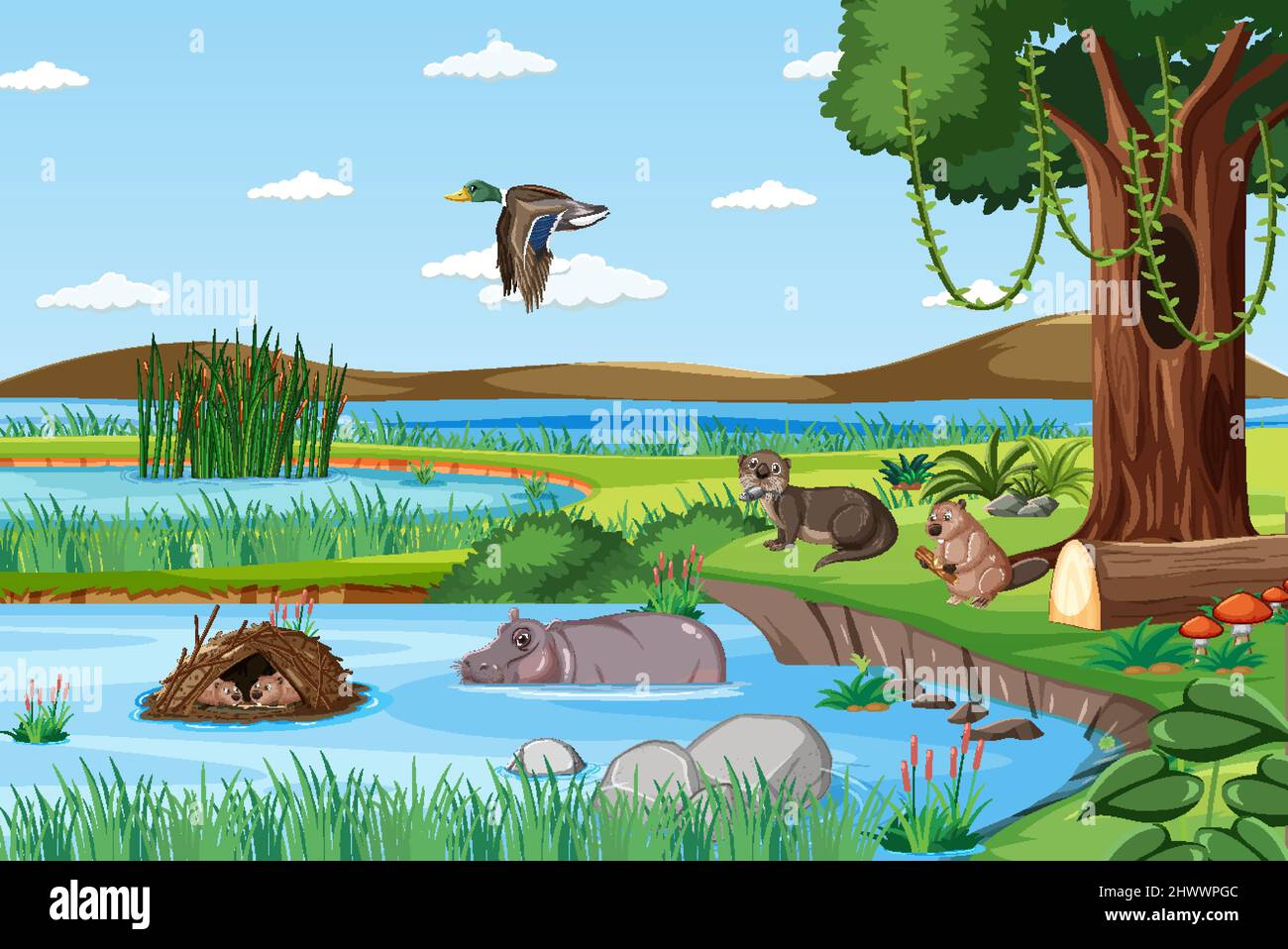Animal living on nature wet scene illustration Stock Vector Image & Art ...