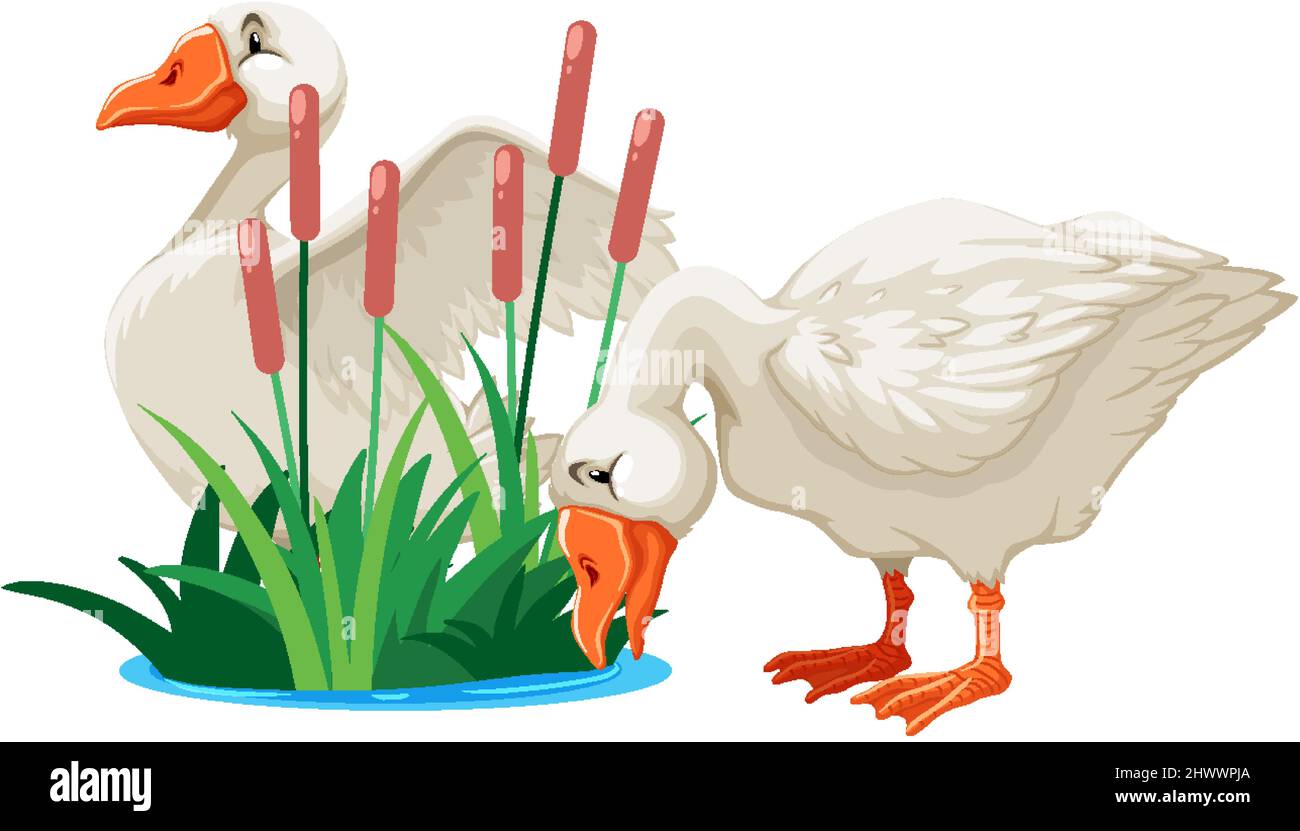 Two ducks standing by the bush illustration Stock Vector Image & Art ...