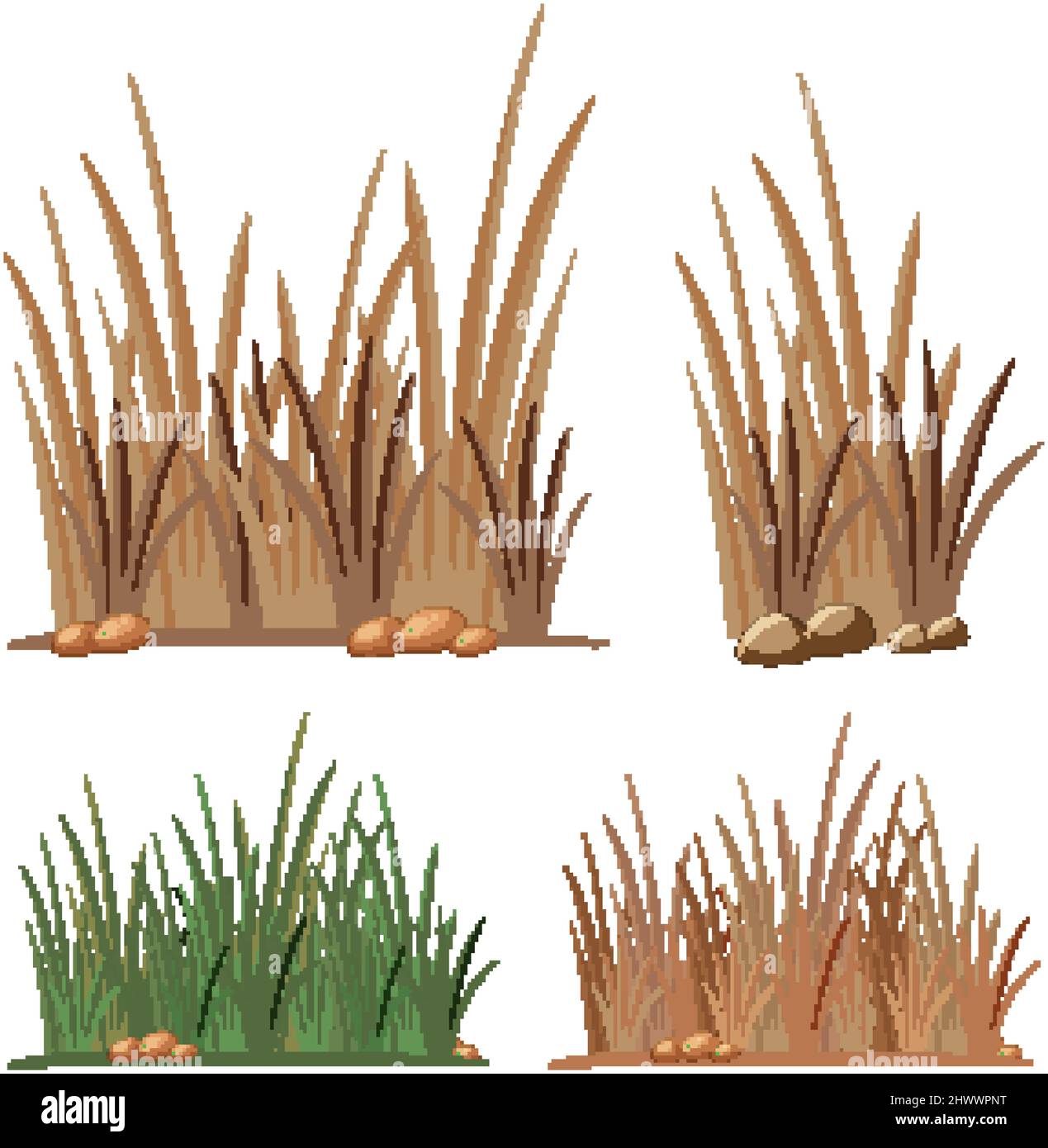 Set Of Different Grass Clumps Illustration Stock Vector Image And Art Alamy