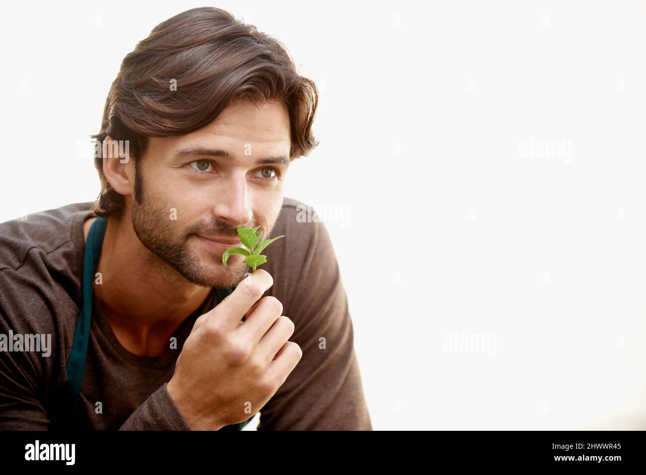Breathe in natures goodness. A handsome bearded man smelling fresh ...