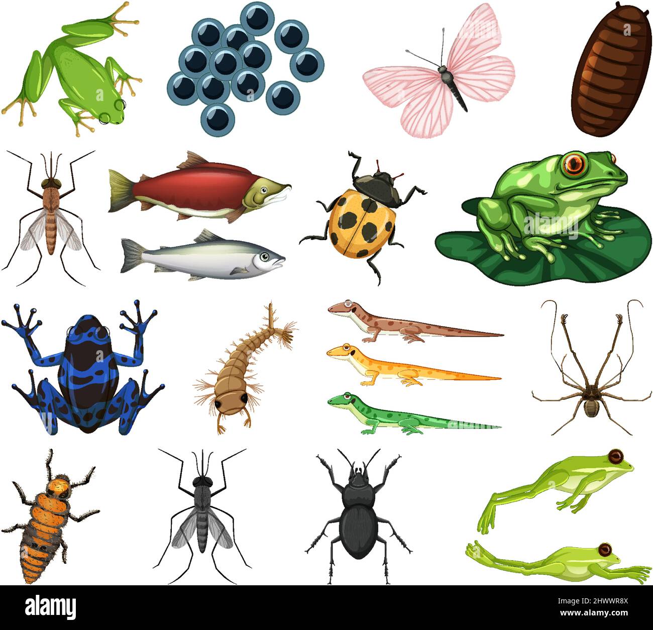 Different kinds of insects and animals on white background illustration ...
