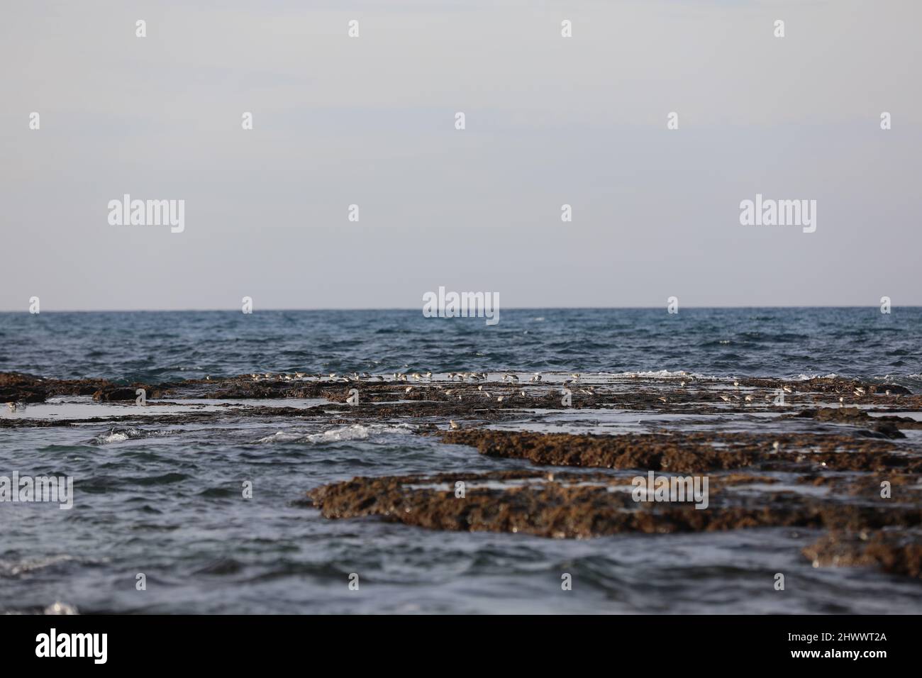 Landscape of rock and sea High quality Stock Photo - Alamy