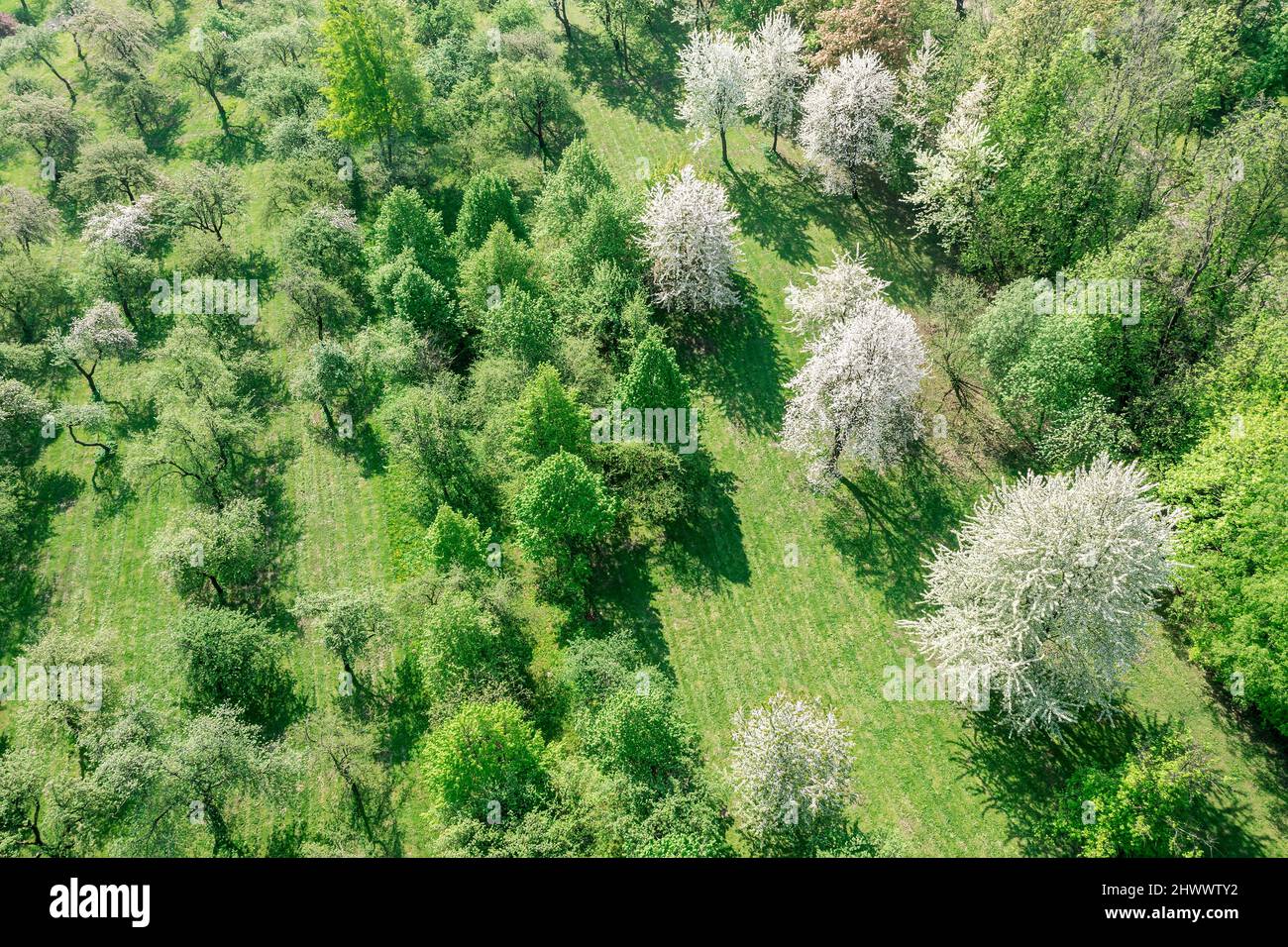 Aerial view apple orchard in hi-res stock photography and images - Alamy